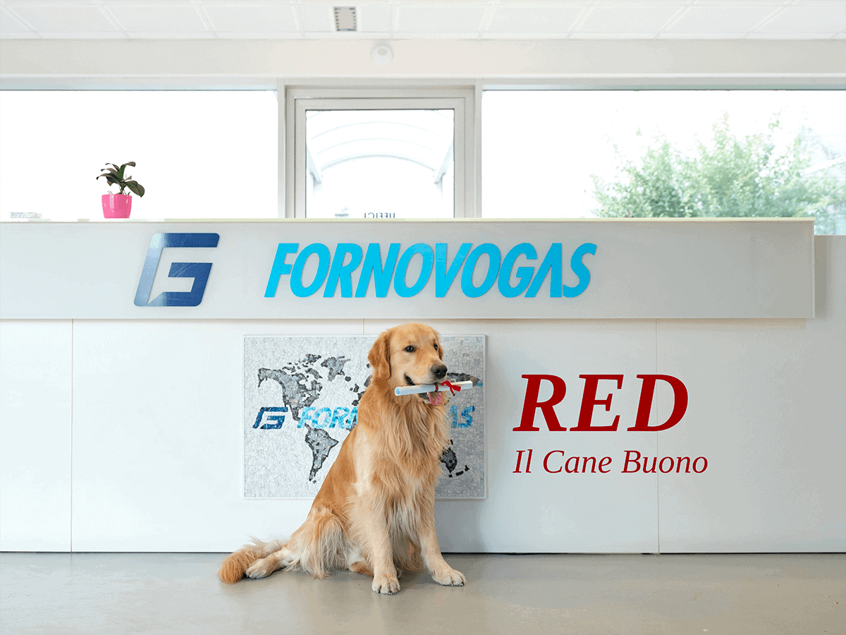 5 Premios de Graduación "RED – EL PERRO BUENO": Un Tributo a la Lealtad ...